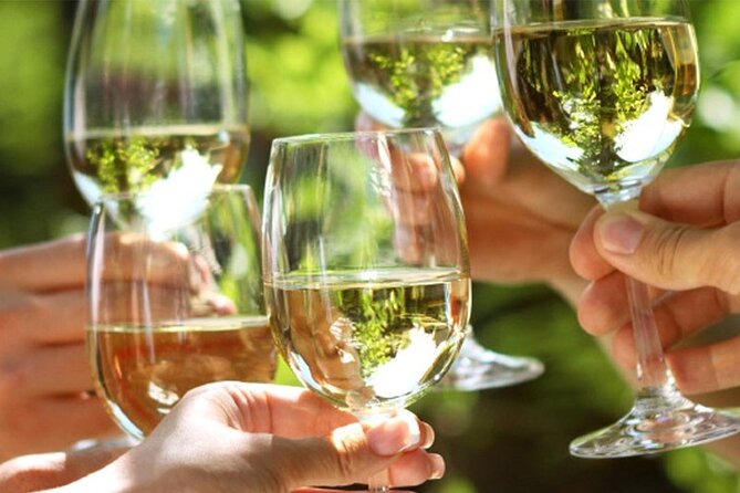 Piran wine & food walking tour - The Experience in Detail