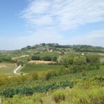 Pisa and San Gimignano Tour from Florence - A Deep Dive into the Tour Experience