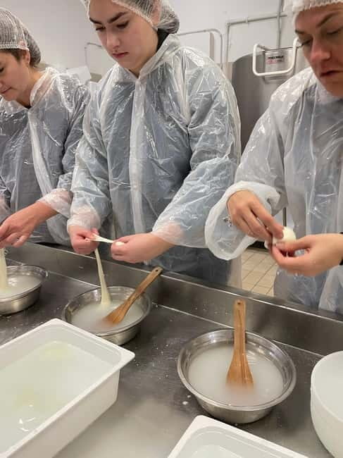 Pisa: Exclusive Private Cheese Making and Tasting Experience - Who Will Love This Tour?