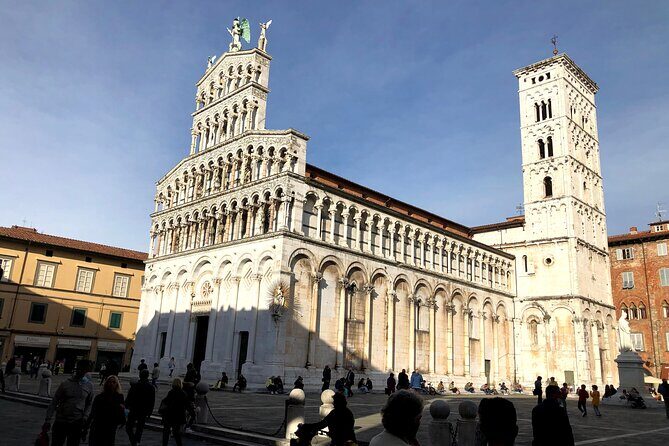 Pisa, Lucca & Winery Private Tour from Livorno port - The Transport and Timing