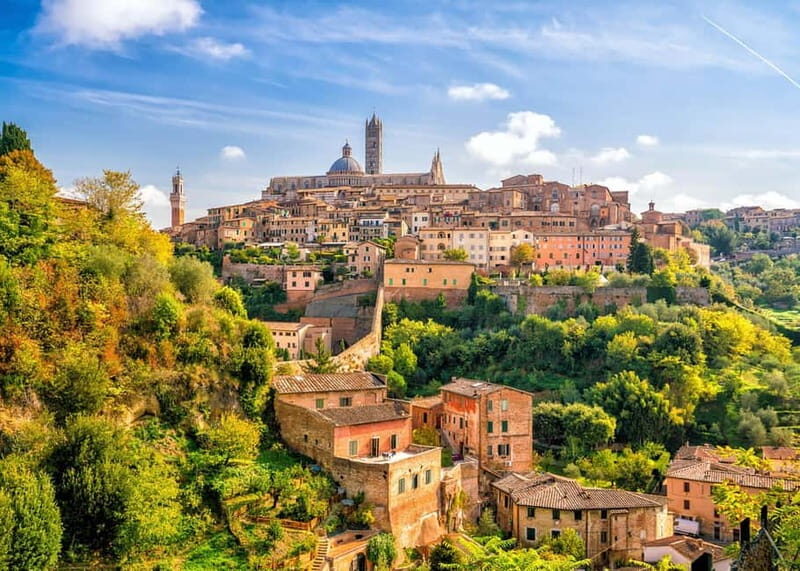 Pisa, San Gimignano & Siena: History, Towers & Tuscany Views - The Tour: A Day of Art, History, and Scenery