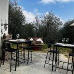 Pisa: Winery Tour and Wine Tasting with Local Food Pairing - How This Tour Fits Into Your Pisa Visit