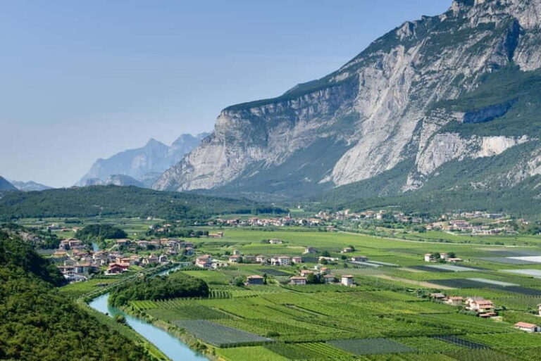 Pisoni: Stories of wine and flavors - What Makes This Tour Special?