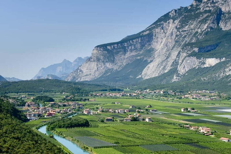 Pisoni: Stories of wine and flavors - What Makes This Tour Special?