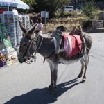 Plateau of Lassithi, Monastery of Kera and Ceramics - An In-Depth Look at the Tour Experience