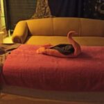 Playa del Inglés: Abhyanga Full Body Massage - The Itinerary & Location Details