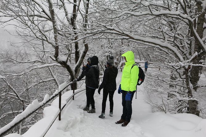 Plitvice Lakes Frozen Landscape Private Hiking Day Trip from Zagreb - What Past Travelers Say