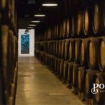 Poças Guided Visit and Port Wine Tasting with Pastel de Nata - What the Tour Entails