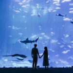 Poema del Mar Skip-the-Line Ticket - Practical Tips for Visiting