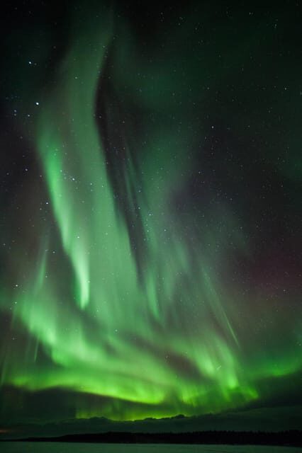 Polar Night Snowshoe Trek - A Detailed Look at the Tour Experience