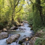 Pollino National Park: Trekking in the Argentino Nature Reserve - The Itinerary Breakdown