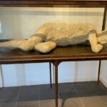 Pompei-herculaneum & Wine Tasting - A Deep Dive into the Experience