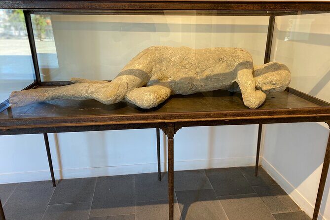 Pompei-herculaneum & Wine Tasting - A Deep Dive into the Experience
