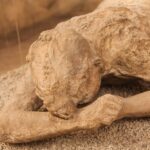 Pompeii: 2-Hour Guided Tour with an Archaeologist - FAQ