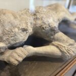 Pompeii and Herculaneum: Guided Tour with an Archaeologist - What Makes This Tour Stand Out?