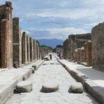 Pompeii and Herculaneum with Wine Tour - From Ruins to Vineyards: A Sip of Local Culture