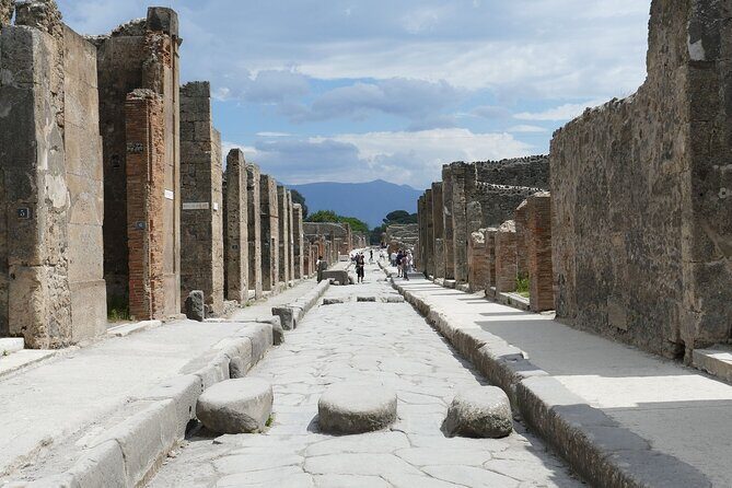 Pompeii and Herculaneum with Wine Tour - From Ruins to Vineyards: A Sip of Local Culture