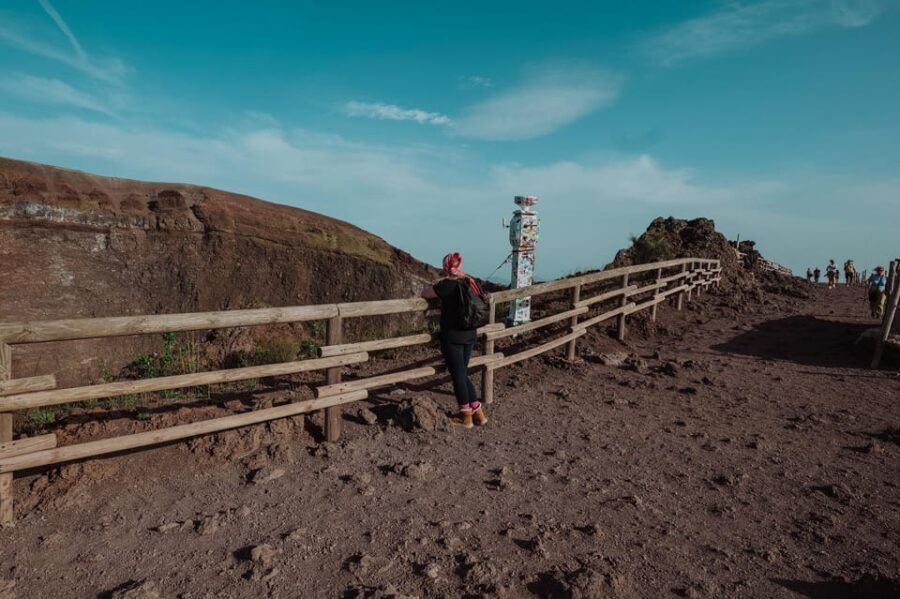Pompeii and Mount Vesuvius excursion from Naples - Authentic Experiences from Past Travelers