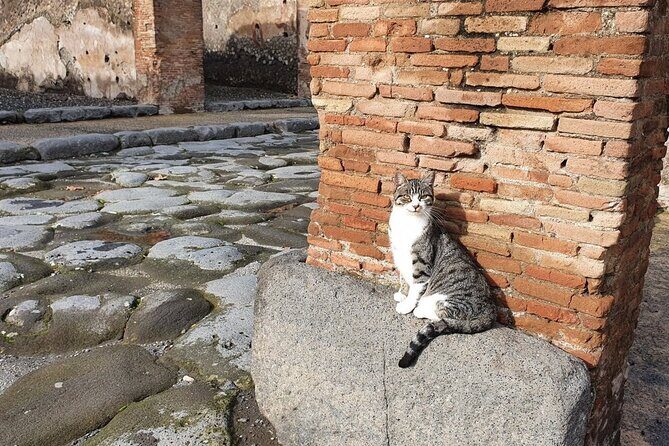 Pompeii and Vesuvius Tour with Pickup - Transportation & Group Size: Why It Matters