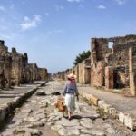 Pompeii from Sorrento: transfer + entry ticket + guided tour - Itinerary and What to Expect