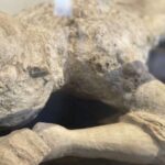 Pompeii: Guided Tour with Archaeologist with max. 12 People - Why This Tour Stands Out