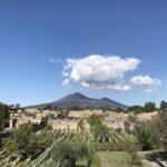 Pompeii & Herculaneum Private Skip-the-Line Tour with Ticket - Who Should Consider This Tour?
