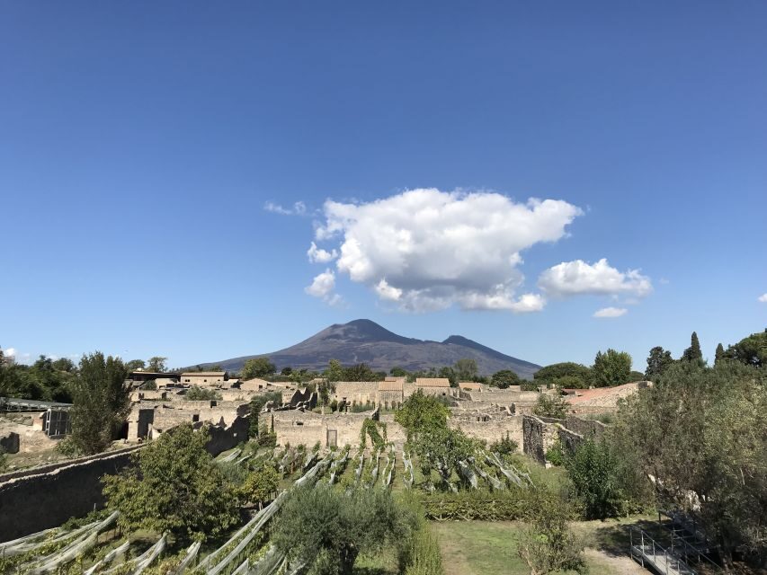 Pompeii & Herculaneum Private Skip-the-Line Tour with Ticket - Who Should Consider This Tour?
