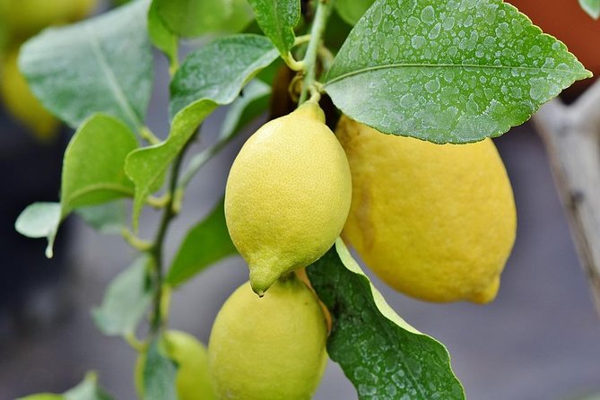 Pompeii, Positano and Amalfi Coast Private Day Tour from Rome - Discovering the Pompeii, Positano, and Amalfi Coast Private Day Tour from Rome