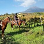 Pompeii: Ruins Tour and Mount Vesuvius Horseback Ride - Mount Vesuvius: Horseback Riding and Scenic Views