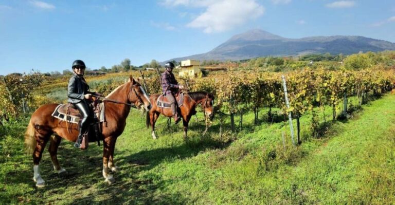 Pompeii: Ruins Tour and Mount Vesuvius Horseback Ride - Mount Vesuvius: Horseback Riding and Scenic Views