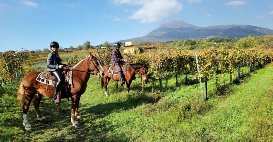 Pompeii: Ruins Tour and Mount Vesuvius Horseback Ride - Mount Vesuvius: Horseback Riding and Scenic Views