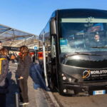 Pompeii Ruins Tour and Shopping at MaxiMall  Private Tour - Pricing and Value