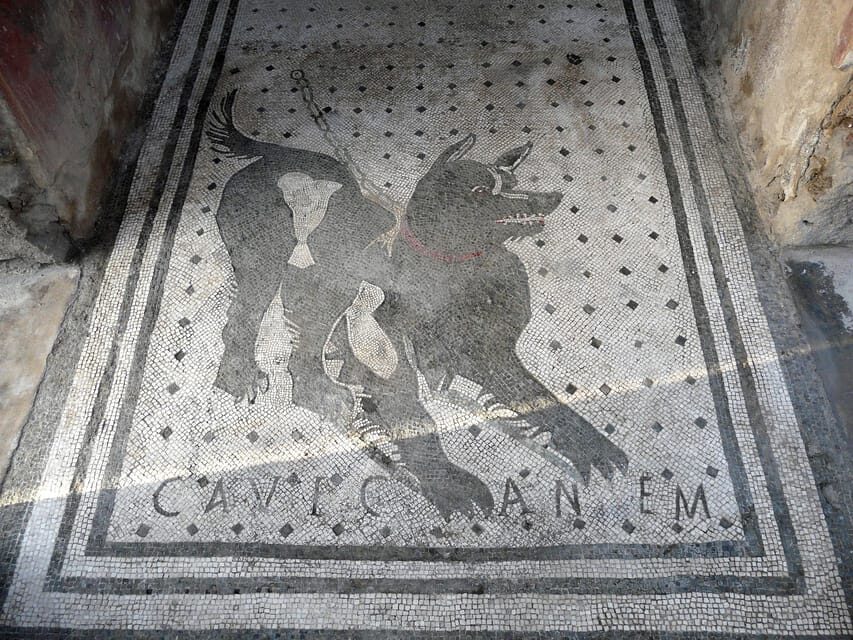 Pompeii: Skip-the-Line Entry & Audioguide - How the Tour Breaks Down the Site