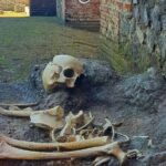 Pompeii: Tour with Archaeologist Guide & Skip-the-Line Entry - Who Should Consider This Tour?