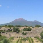 Pompeii with Wine Tasting Private Tour - An In-Depth Look at the Pompeii with Wine Tasting Tour