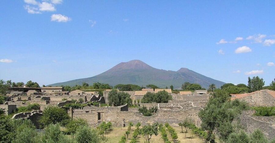 Pompeii with Wine Tasting Private Tour - An In-Depth Look at the Pompeii with Wine Tasting Tour