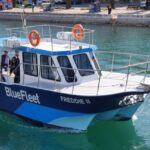 Ponta da Piedade: Half-Day Cruise with Lunch from Lagos - Why This Tour Makes Sense for Certain Travelers