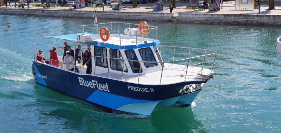 Ponta da Piedade: Half-Day Cruise with Lunch from Lagos - Why This Tour Makes Sense for Certain Travelers