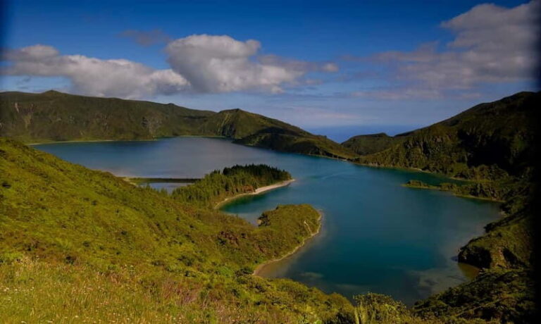 Ponta Delgada: Apiary Guided Tour - In-Depth Itinerary Breakdown
