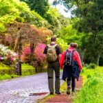 Ponta Delgada: Full-Day Van Tour to Furnas Valley - What Travelers Love and Consider