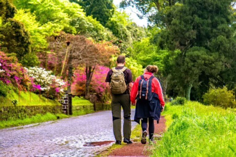 Ponta Delgada: Full-Day Van Tour to Furnas Valley - What Travelers Love and Consider