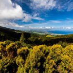 Ponta Delgada: Hidden Gems of São Miguel Full-Day Van Tour - Authenticity, Value, and Local Insights