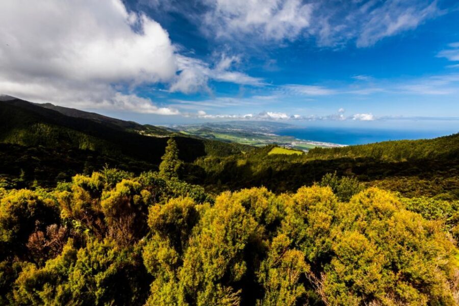 Ponta Delgada: Hidden Gems of São Miguel Full-Day Van Tour - Authenticity, Value, and Local Insights