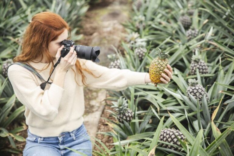 Ponta Delgada: Pineapple wine tasting and pineapple tour - What Travelers Are Saying