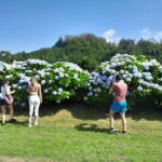 Ponta Delgada: Shore Excursion - The Blue & Green Lake - What Makes This Tour Special?
