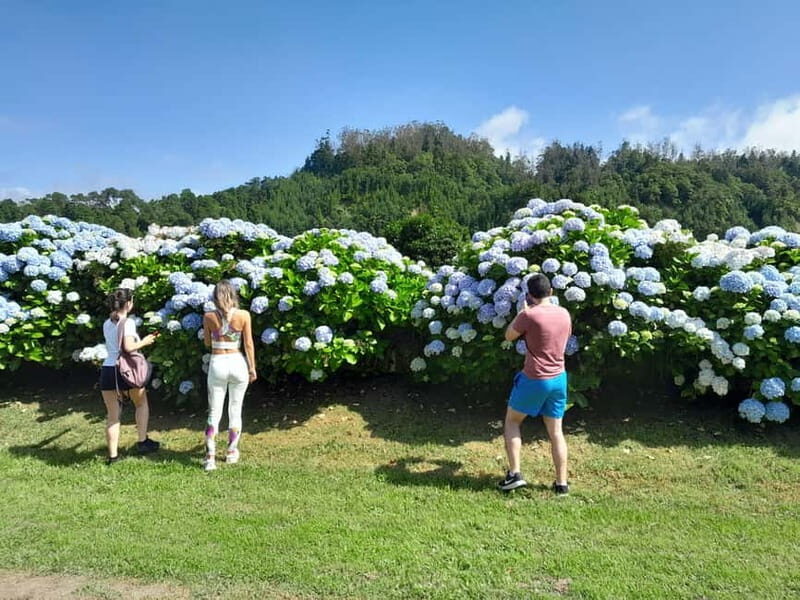 Ponta Delgada: Shore Excursion - The Blue & Green Lake - What Makes This Tour Special?
