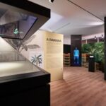 Ponta Do Sol : Madeira Banana Museum guided tour - Outdoor Experience: Bananas in the Real World