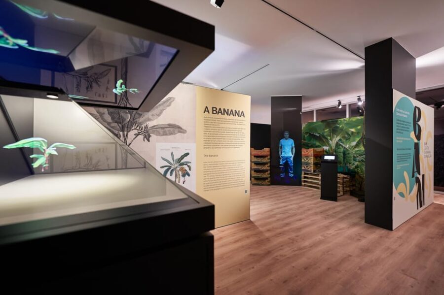 Ponta Do Sol : Madeira Banana Museum guided tour - Outdoor Experience: Bananas in the Real World
