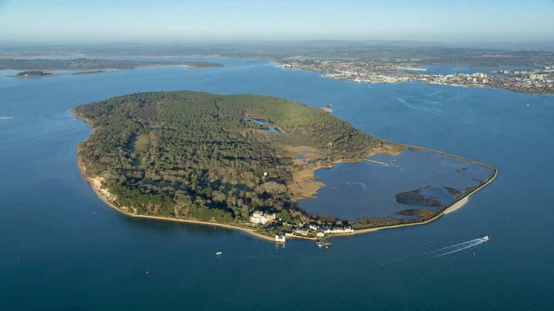 Poole: Harbour and Islands Circular Cruise - Authentic Feedback from Past Passengers