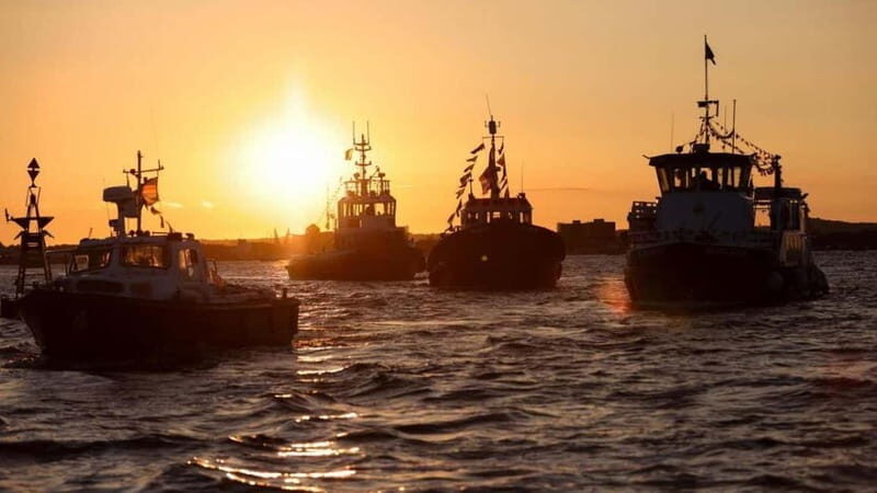 Poole: Harbour Lights Cruise - Who Will Love This Experience?